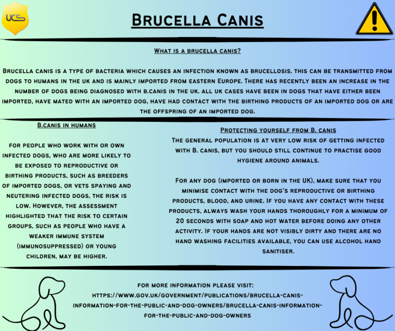Brucella Canis Information. - Unity Care Solutions